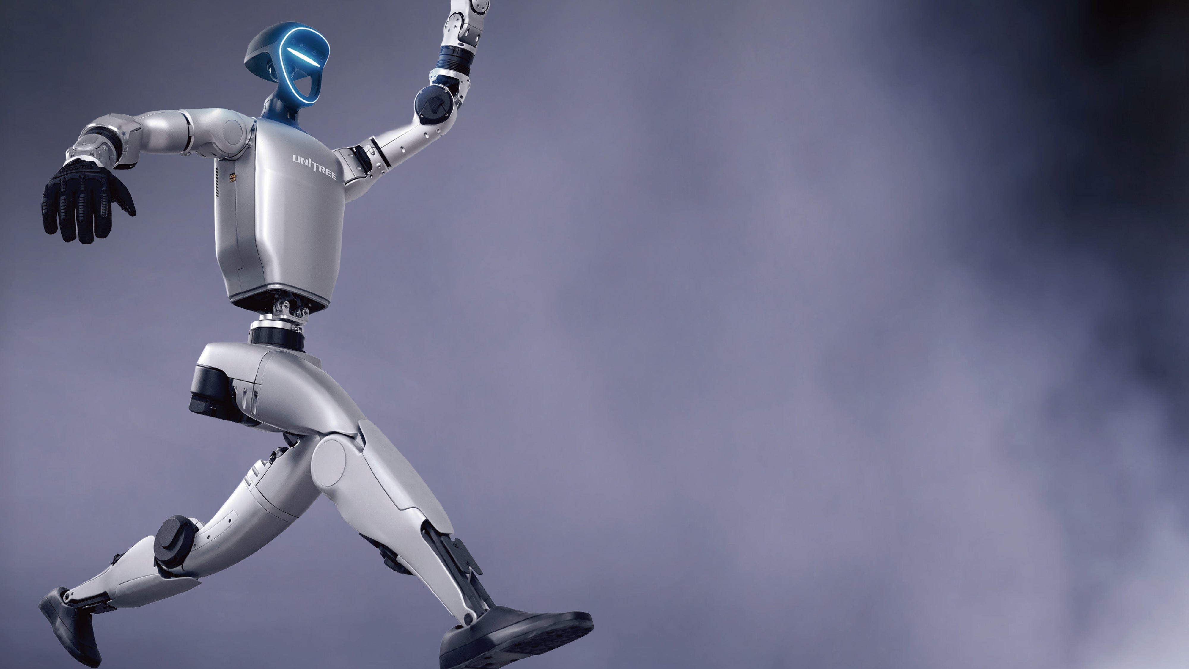 Humanoid Robots – Golabs Inc.